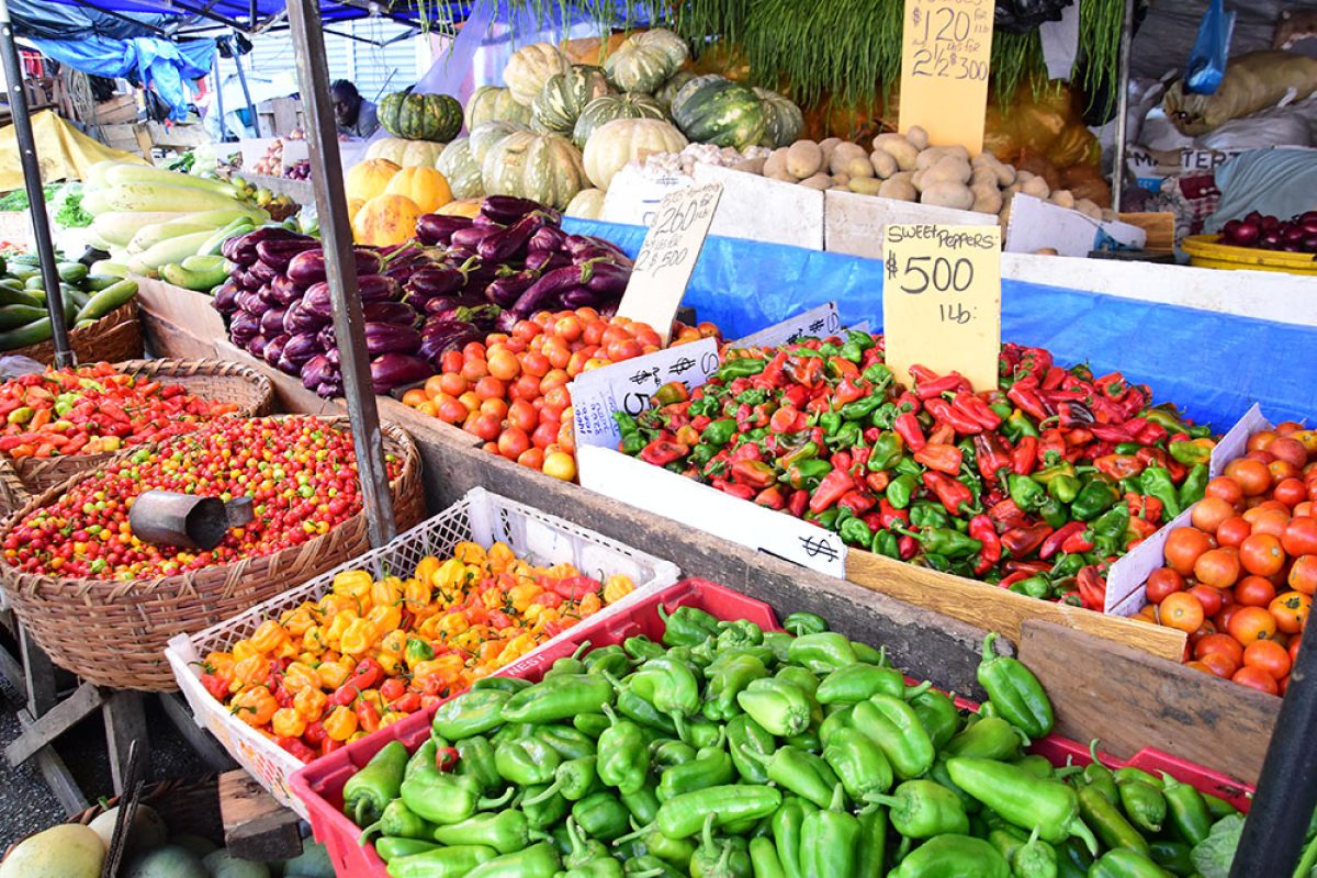 Georgetown walking tour & market experience - Guyana - Journey Latin ...