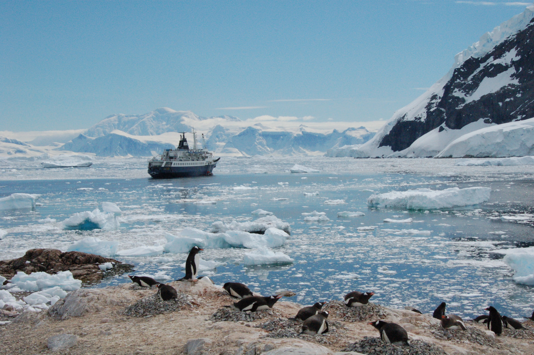Expedition Cruising in Antarctica - Antarctica - Journey Latin America