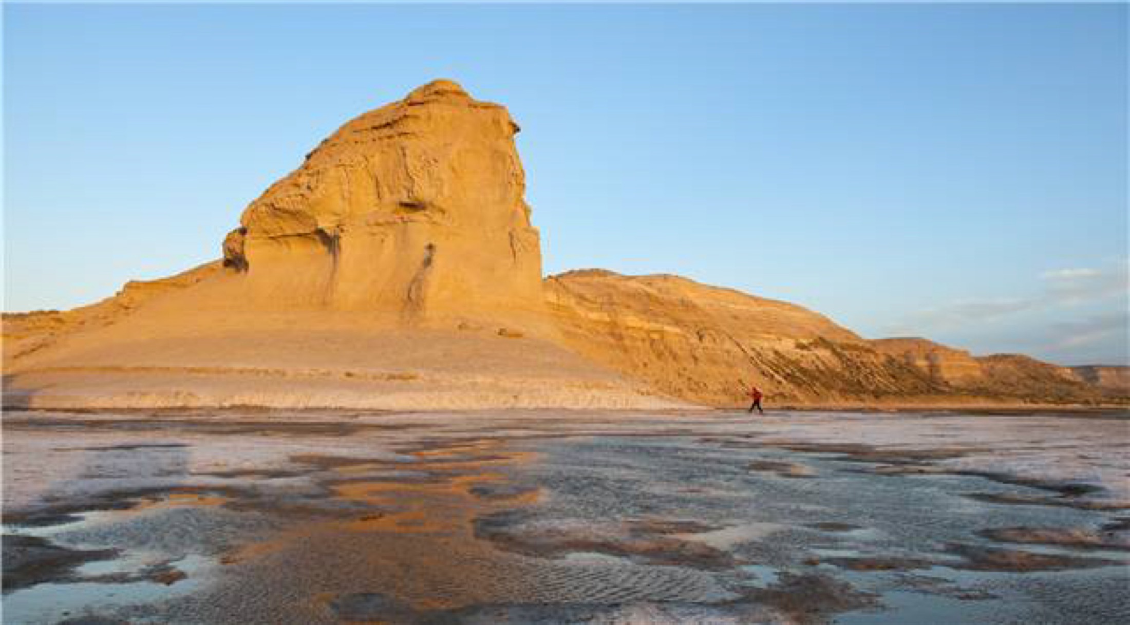 Valdes Peninsula - Places to visit - Argentina - Journey Latin America