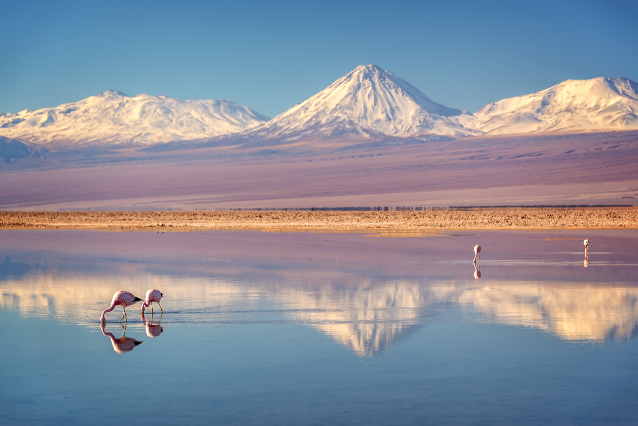 Atacama Desert - Things to do - Chile - Journey Latin America