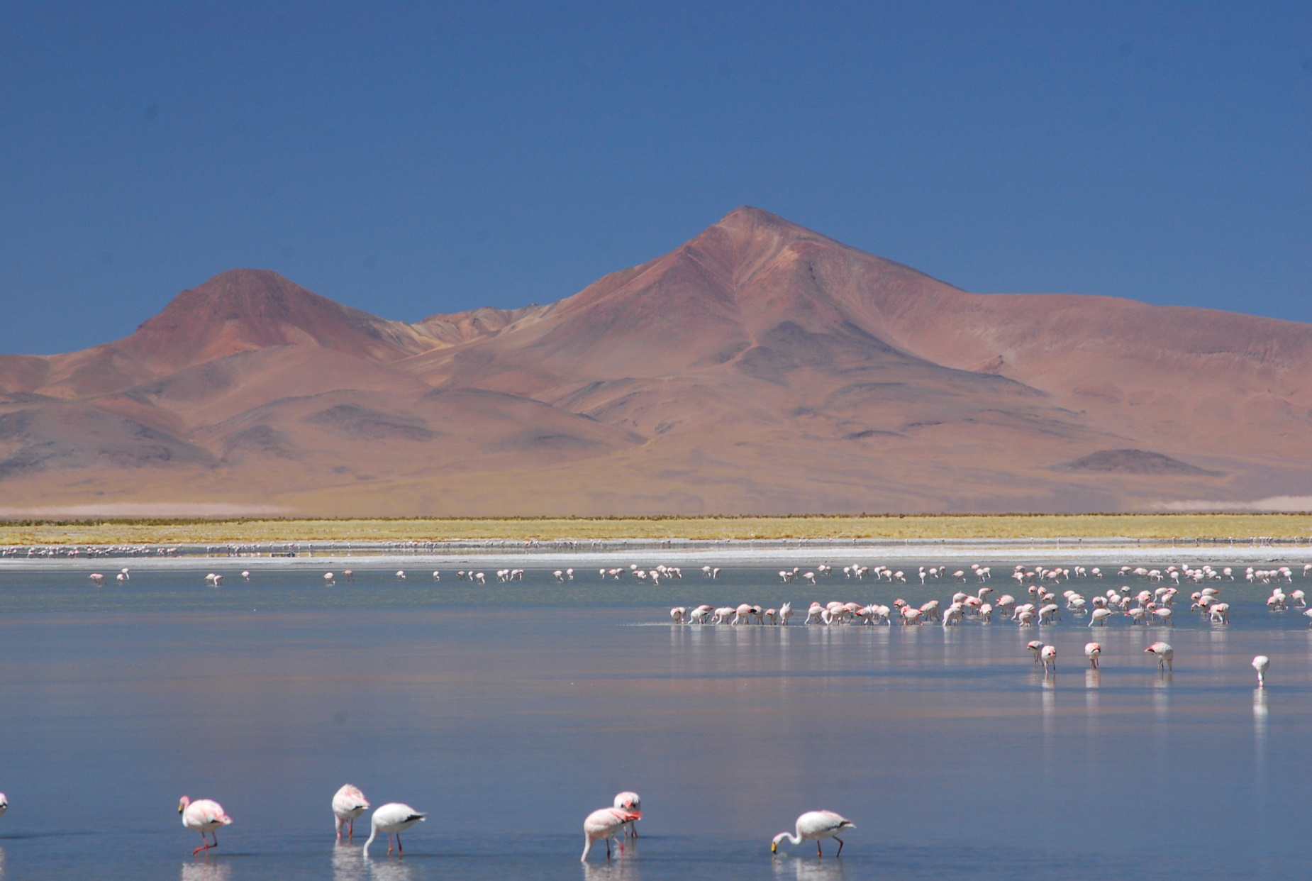 When to go to Atacama Desert, Chile - Journey Latin America