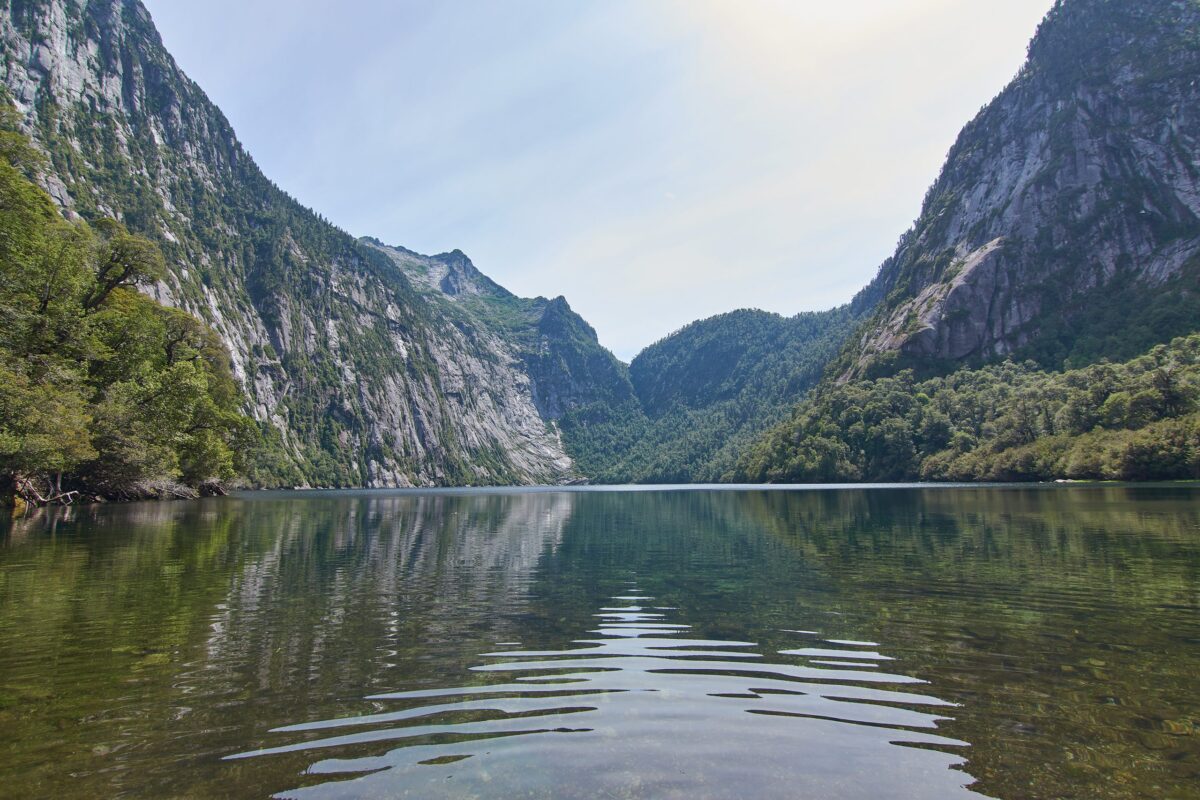 Larch Forests Walk - Things to do - Chilean Lake District - Journey ...