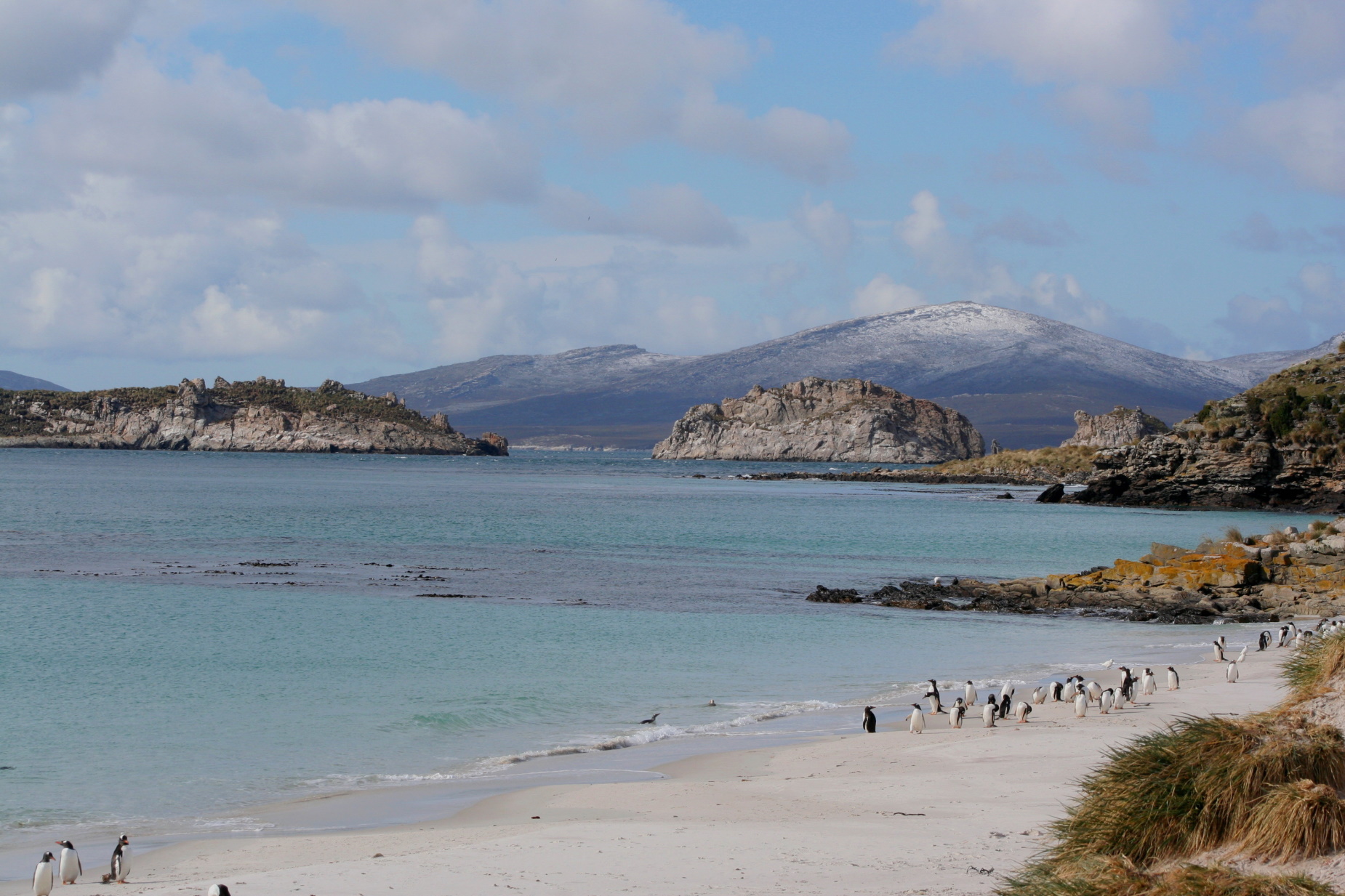 The Falkland Islands Holidays & Tours - Journey Latin America