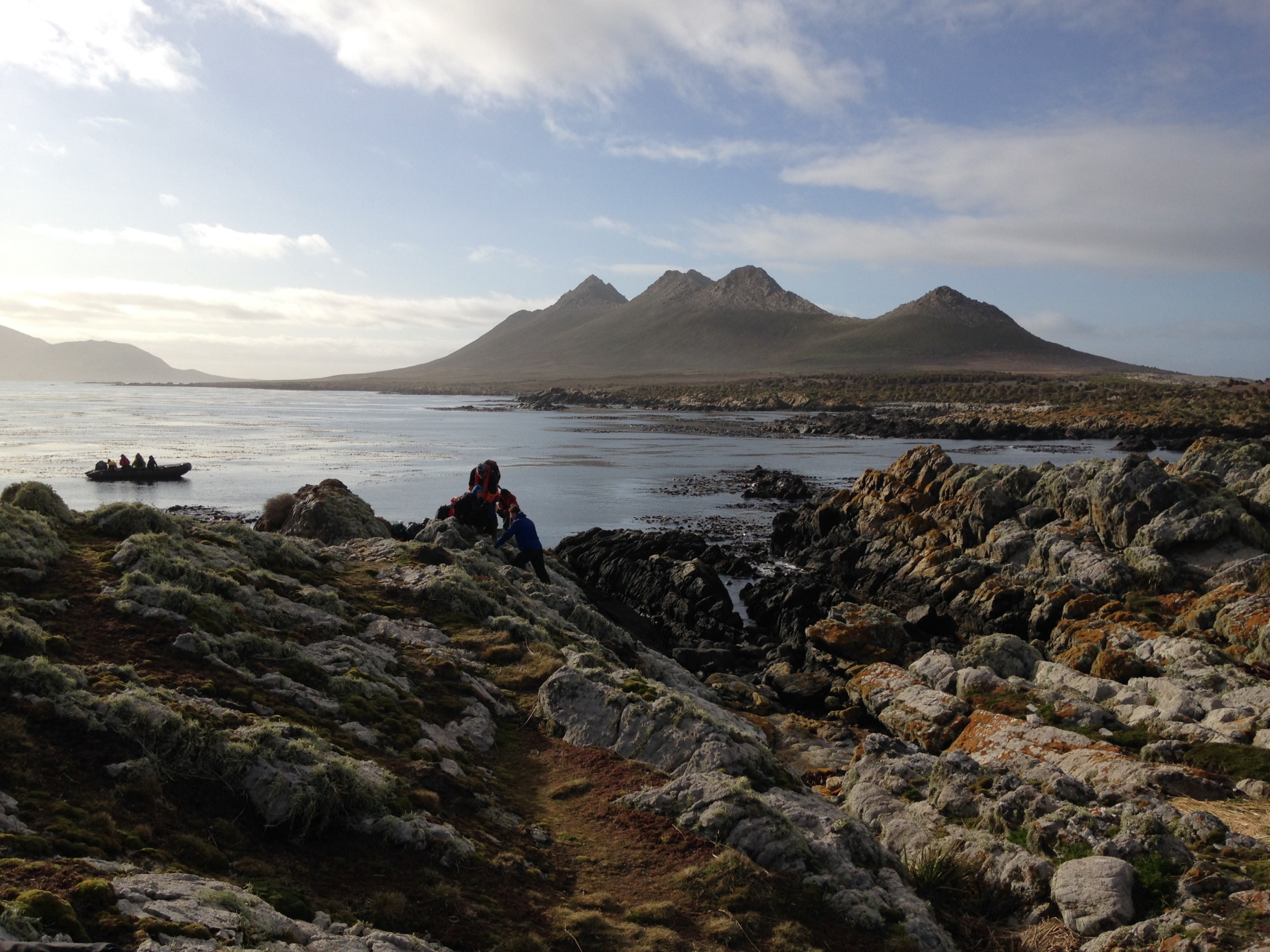 The Falkland Islands Holidays & Tours - Journey Latin America