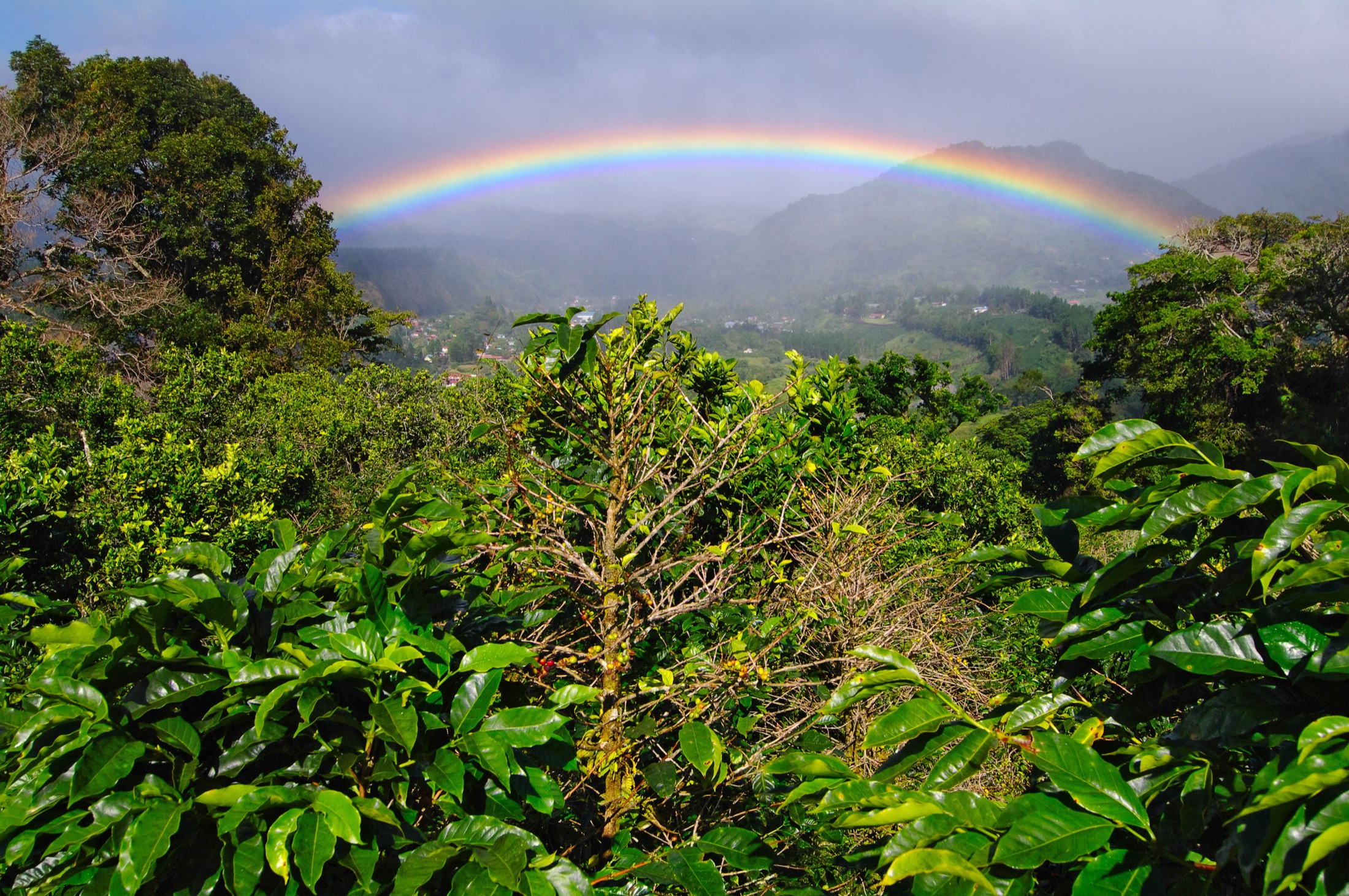 Boquete and the Chiriquí Highlands Things to do - Journey Latin America