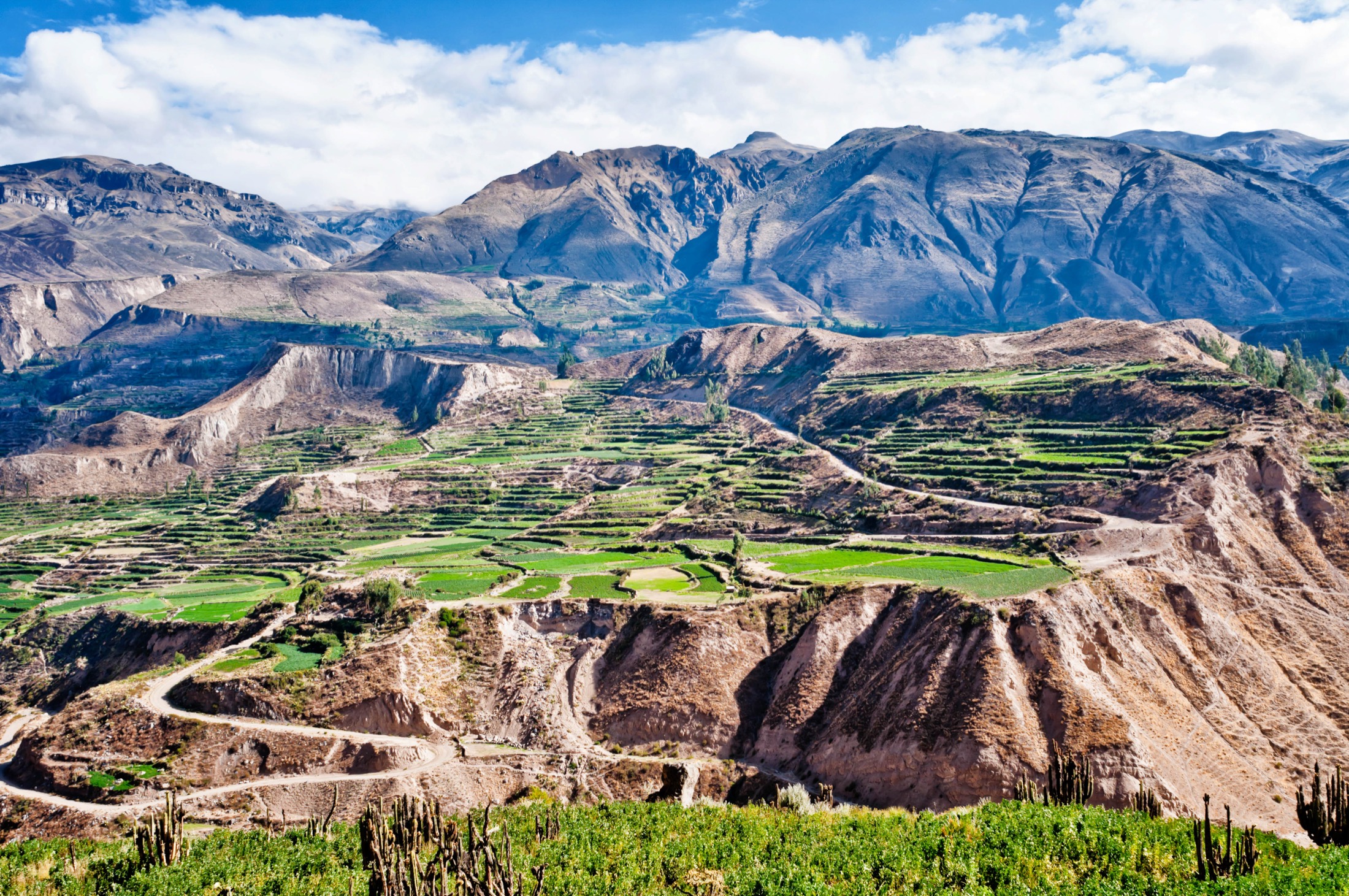 Arequipa and Colca Canyon - Places to visit - Peru - Journey Latin America