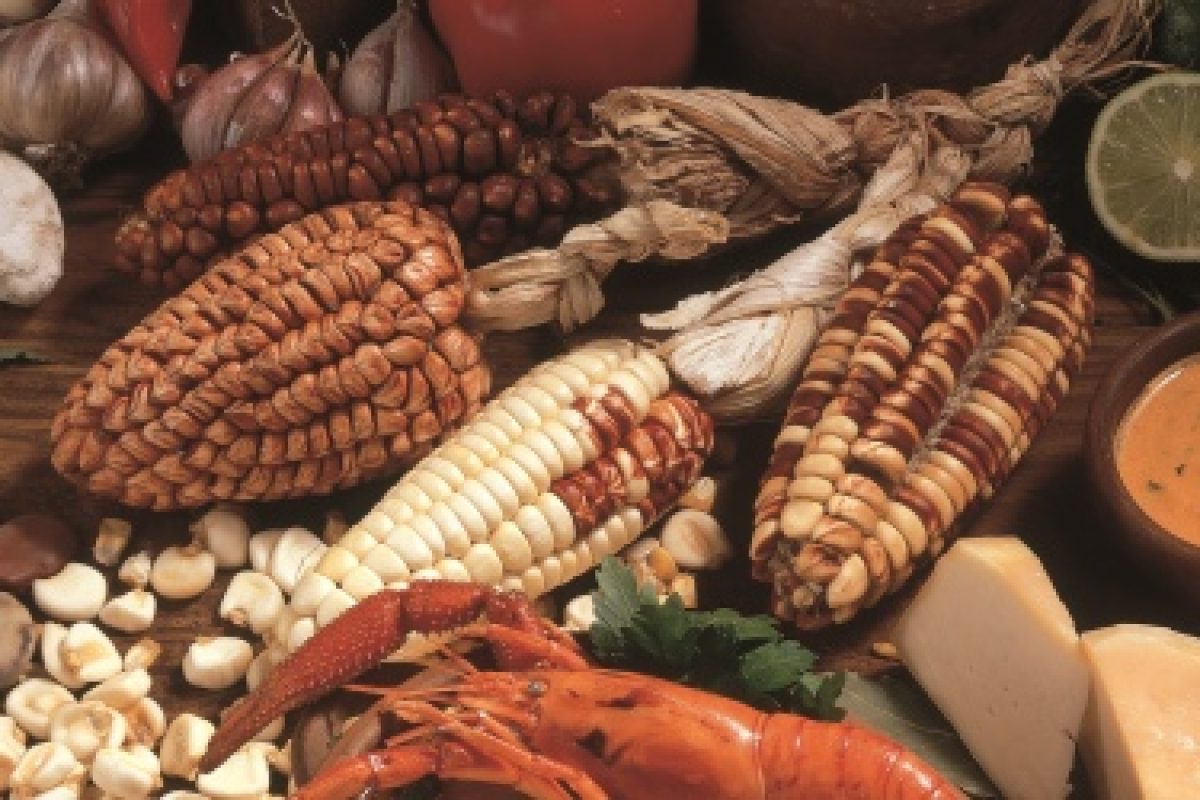 The Latin Kitchen - Journey Latin America