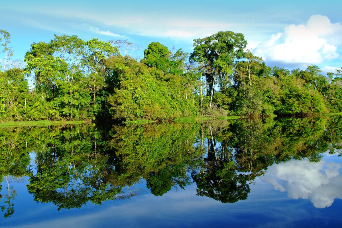 Great River Cruises in South America - Journey Latin America