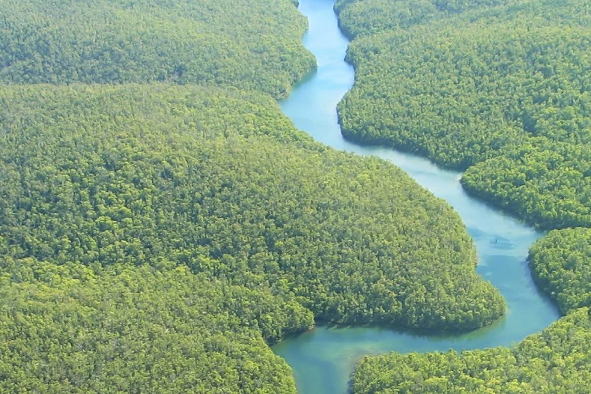 Things to know before travelling to the Amazon - Travel Tips - Journey ...