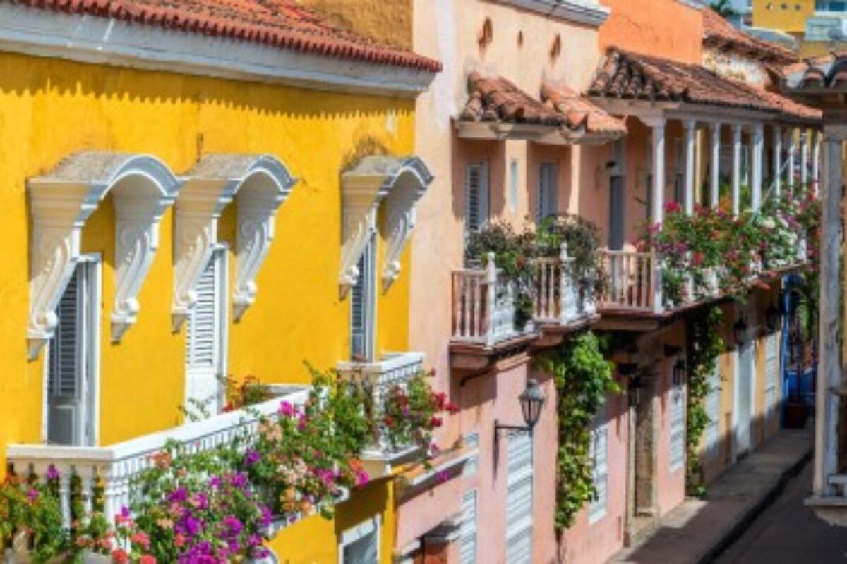 Senor Nice - Travel - Journey Latin America