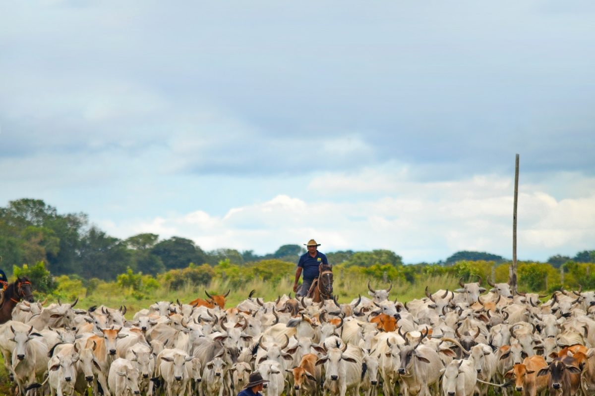 Discover Colombian cowboy culture - Things to do - Journey Latin America