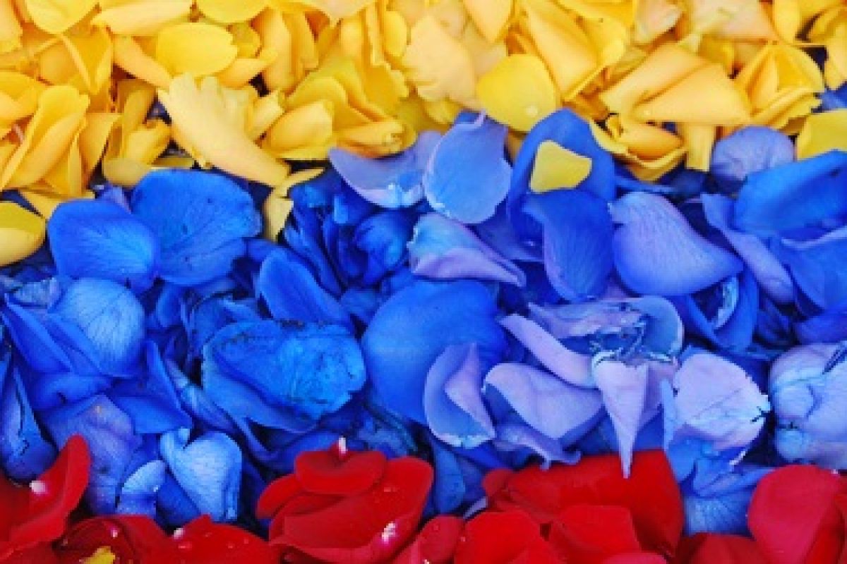 Coming up roses: Ecuador's flourishing flower industry - Journey Latin ...