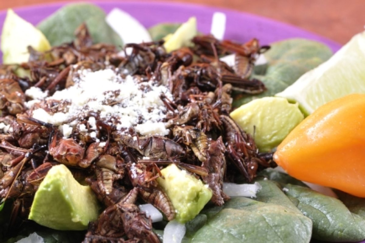 Eating Like Aztecs - Food - Journey Latin America