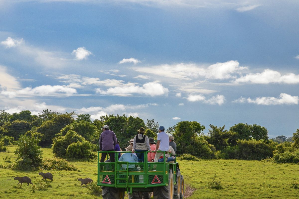 Colombian safari - Journey Latin America