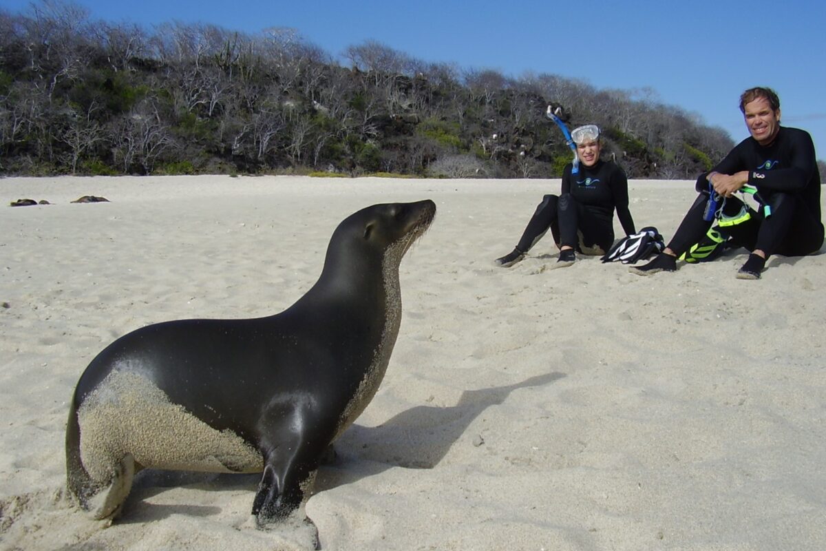Galapagos Islands - Wildlife Spotting - Things to do - Journey Latin ...
