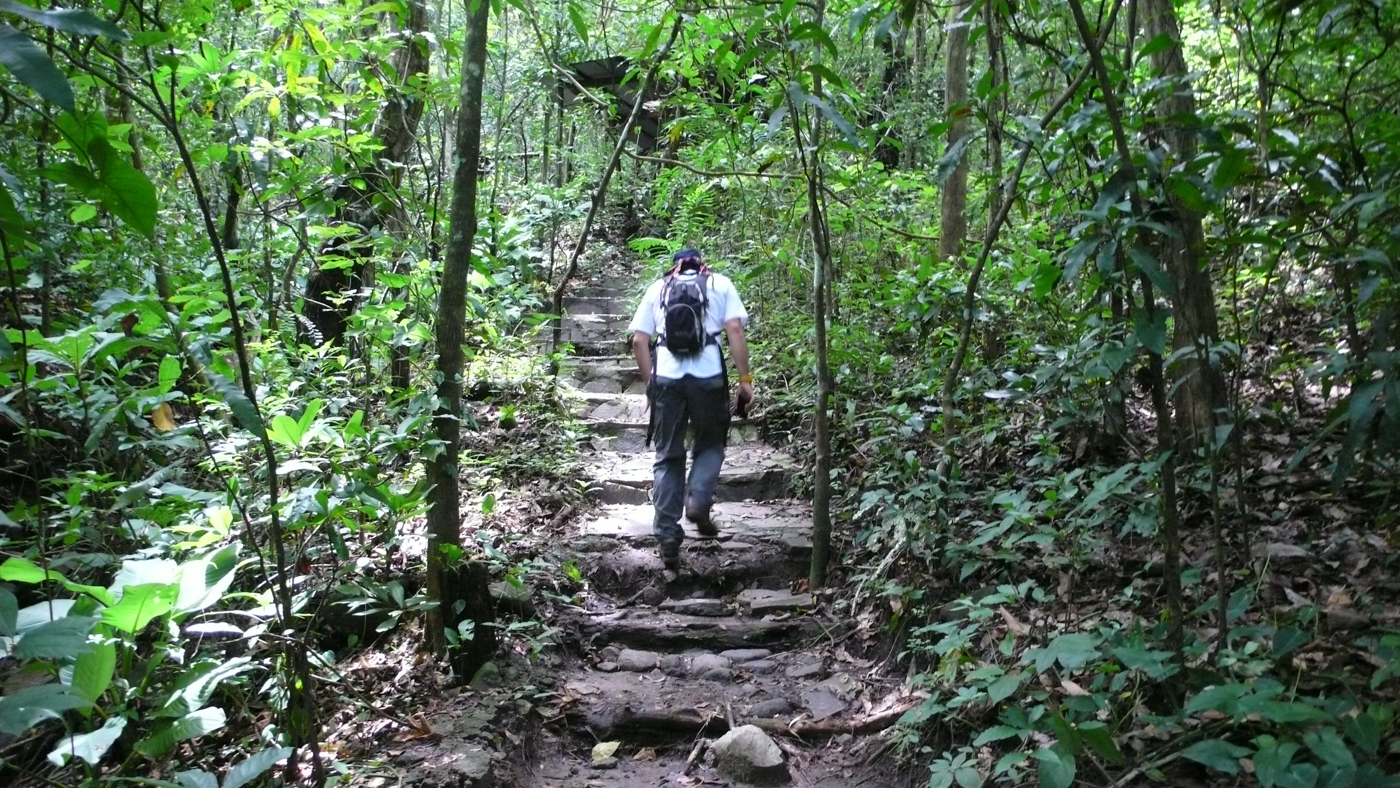 Walk in Cinquera Ecological Park - Journey Latin America