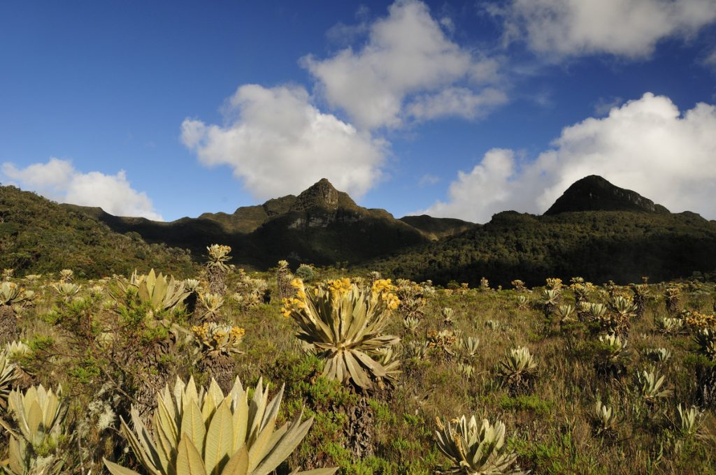 Visit Purace National Park - Journey Latin America