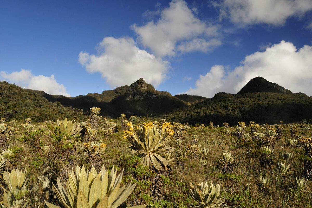 Visit Purace National Park - Journey Latin America