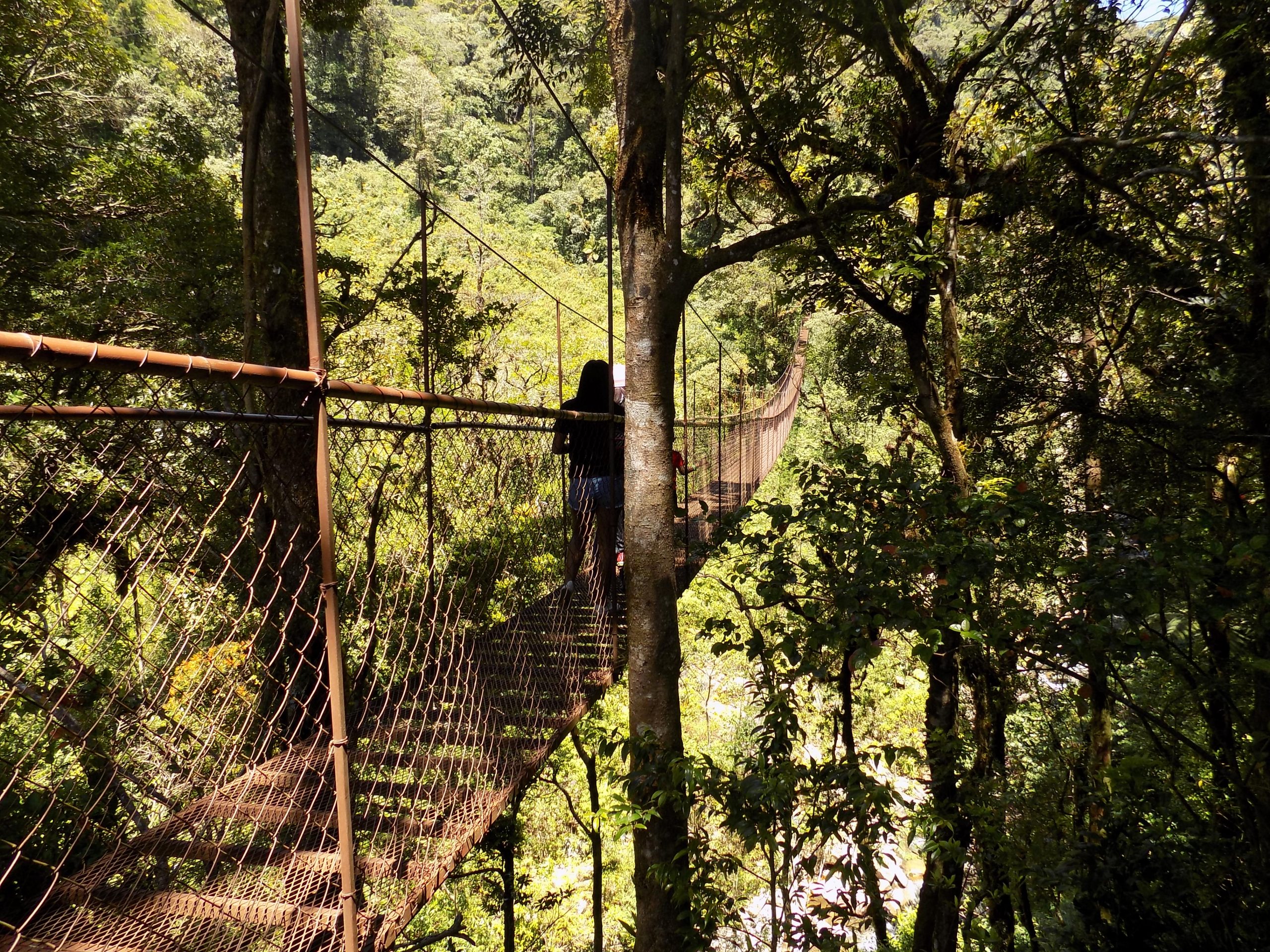 hanging bridges and ziplines - Journey Latin America