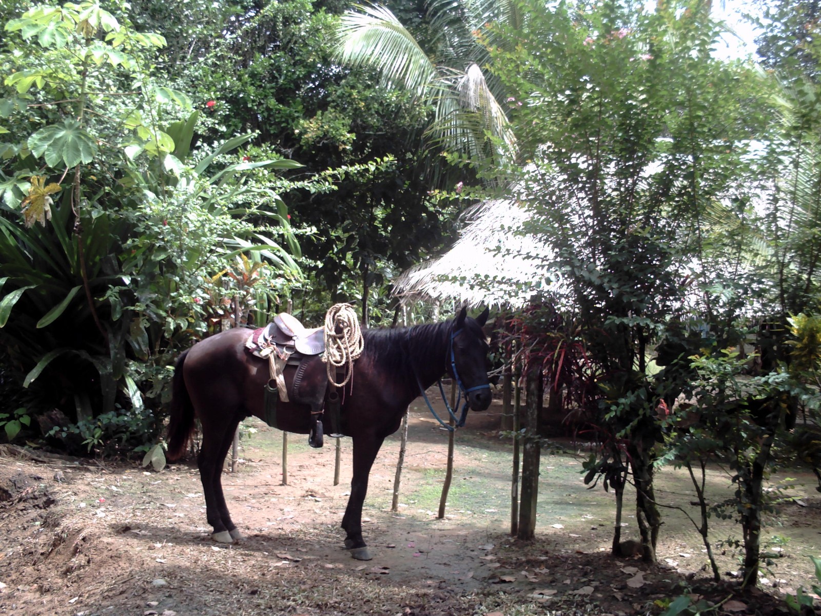 Signature Panama: Canal, Wildlife and Beach - Journey Latin America