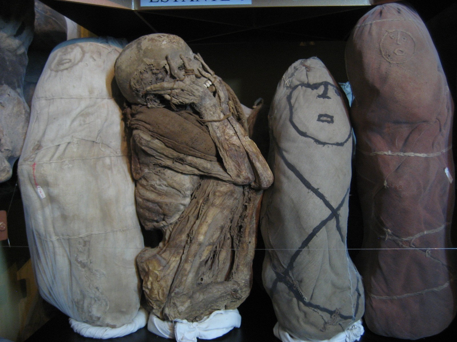 Museum of Mummies in Northern Peru - Journey Latin America